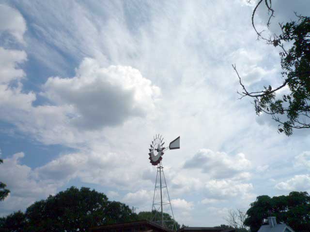 Dripping Springs, Texas Hunting Experiences | Storm Ranch Hunting